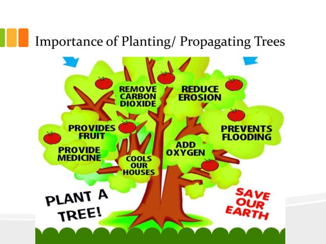 TLE 6 - Agriculture | PPT
