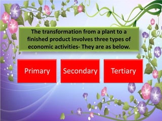 Grade - 8 Geography Chapter - 4. Agriculture | PDF