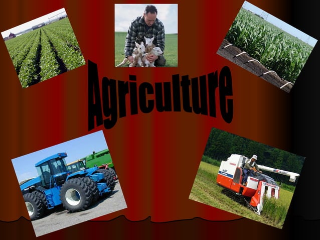 Agriculture Slideshow | PPT