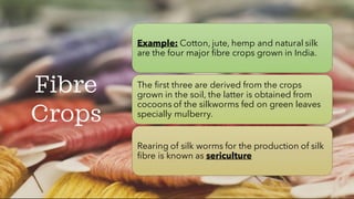 Agriculture | PDF