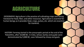 AGRICULTURE for school or office use.pptx