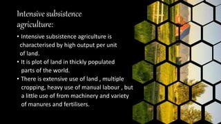 AGRICULTURE for school or office use.pptx