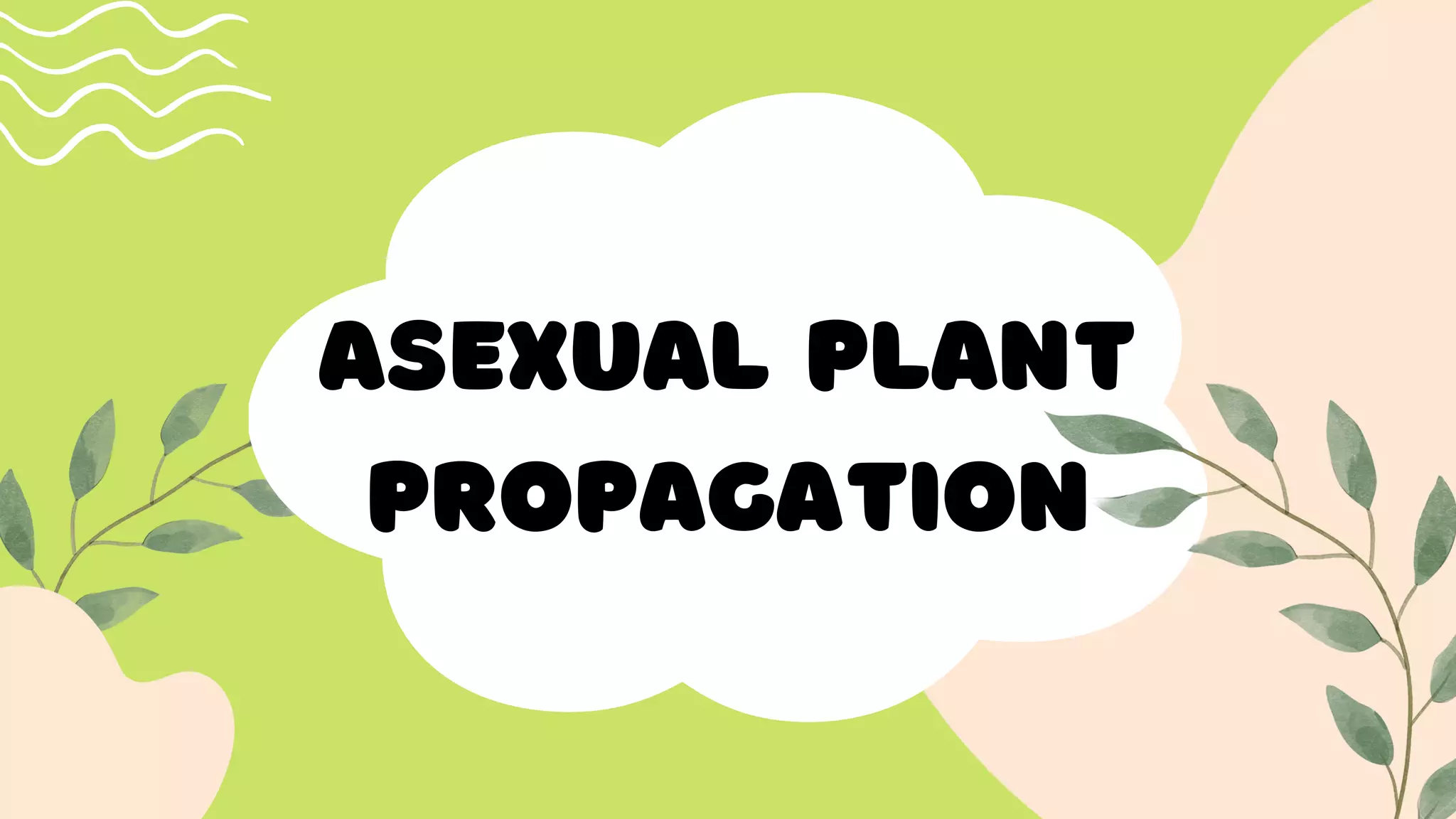 Agriculture 1 - Asexual Plant Propagation.pdf