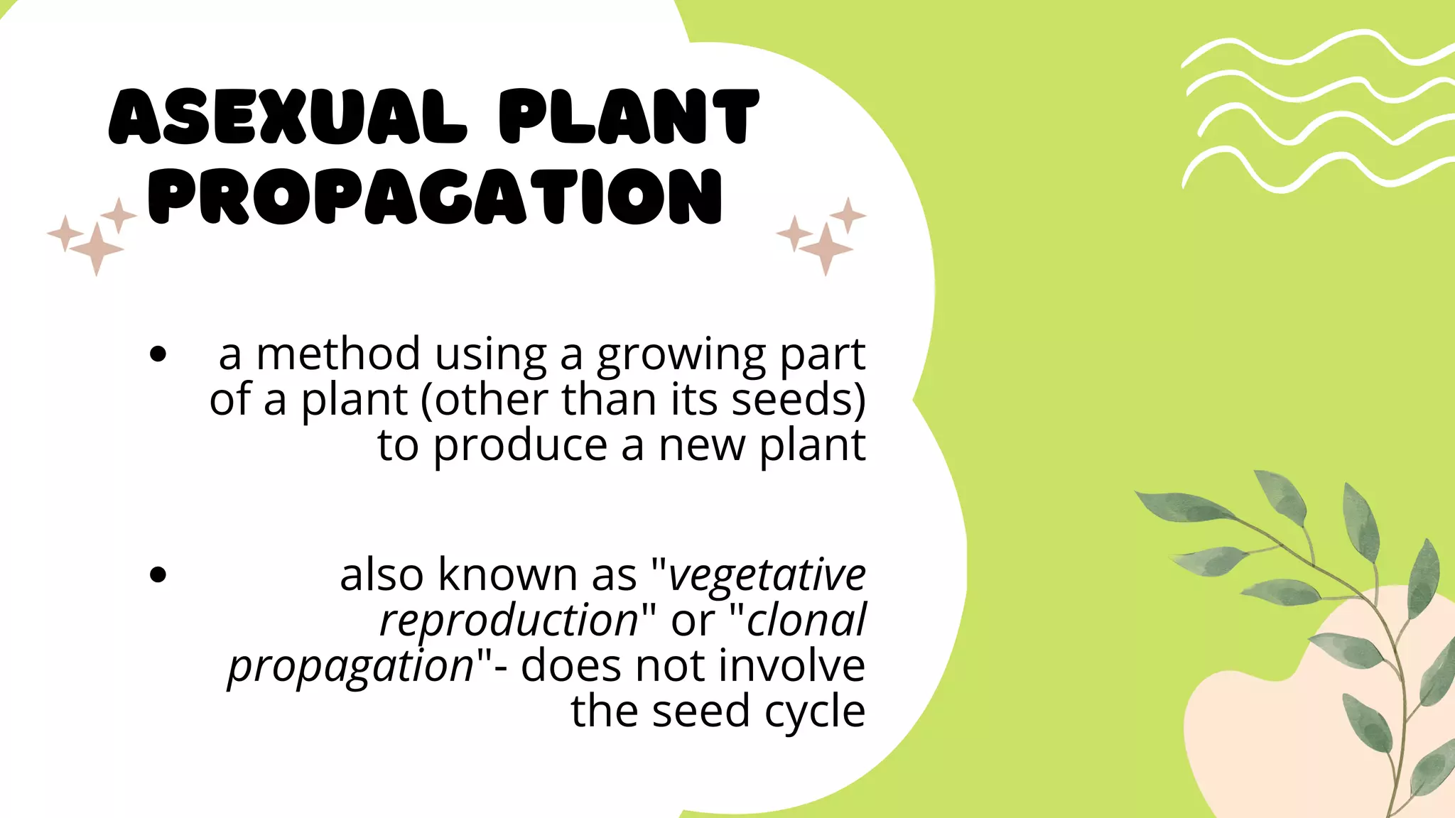 Agriculture 1 - Asexual Plant Propagation.pdf