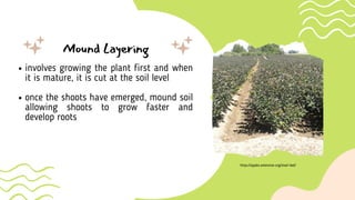 Agriculture 1 - Asexual Plant Propagation.pdf