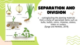 Agriculture 1 - Asexual Plant Propagation.pdf