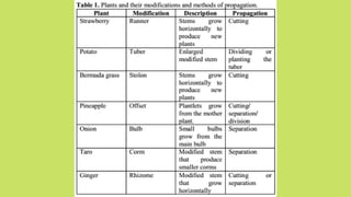 Agriculture 1 - Asexual Plant Propagation.pdf