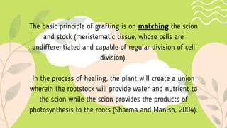 Agriculture 1 - Asexual Plant Propagation.pdf