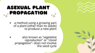 Agriculture 1 - Asexual Plant Propagation.pdf