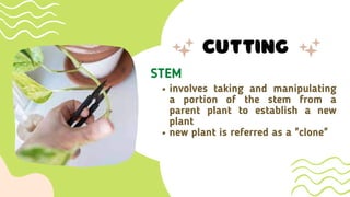 Agriculture 1 - Asexual Plant Propagation.pdf