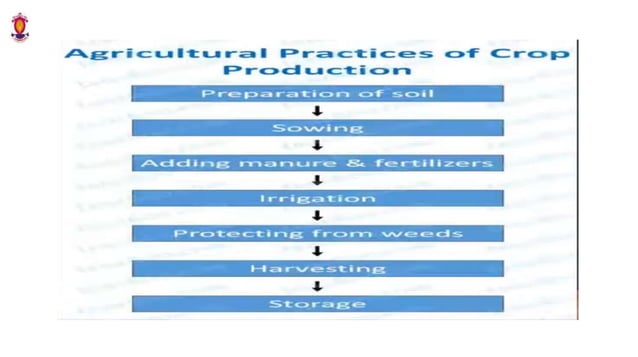 agriculture 5th std evs.pptx