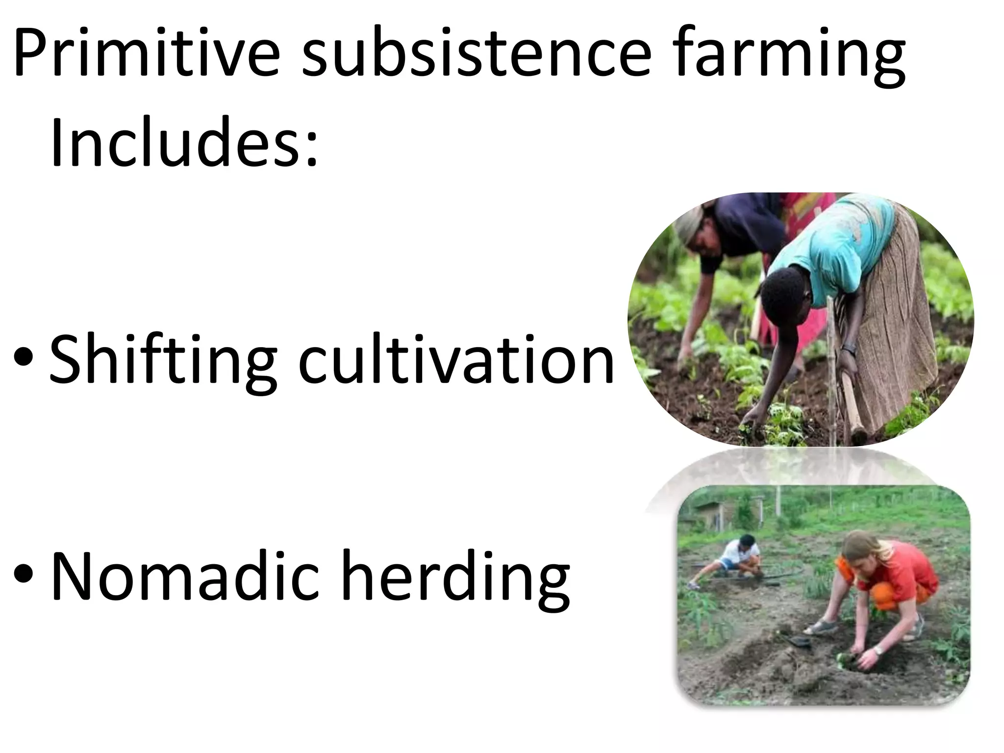 Agriculture geography class 8th | PPTX