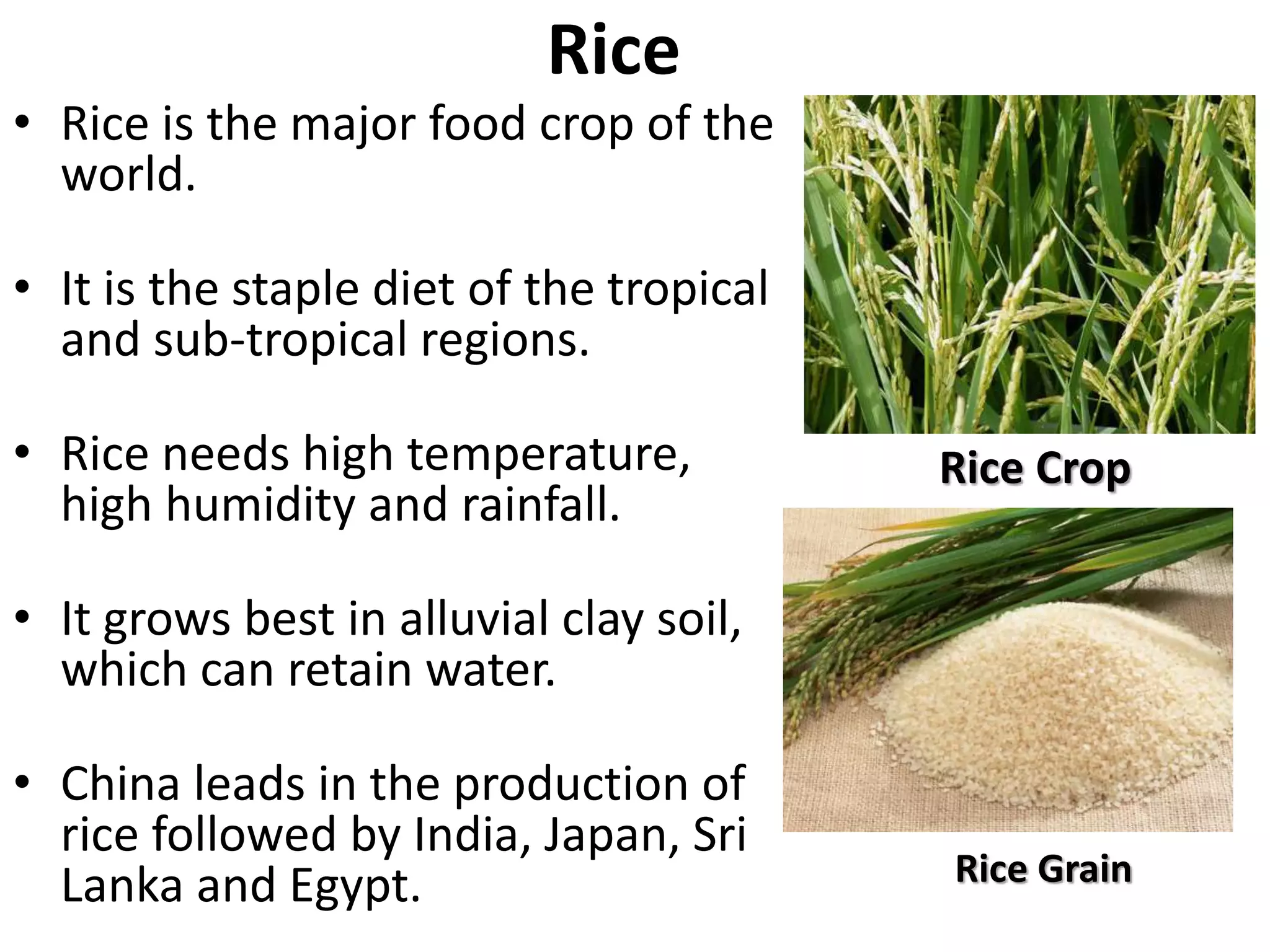 Agriculture geography class 8th | PPTX
