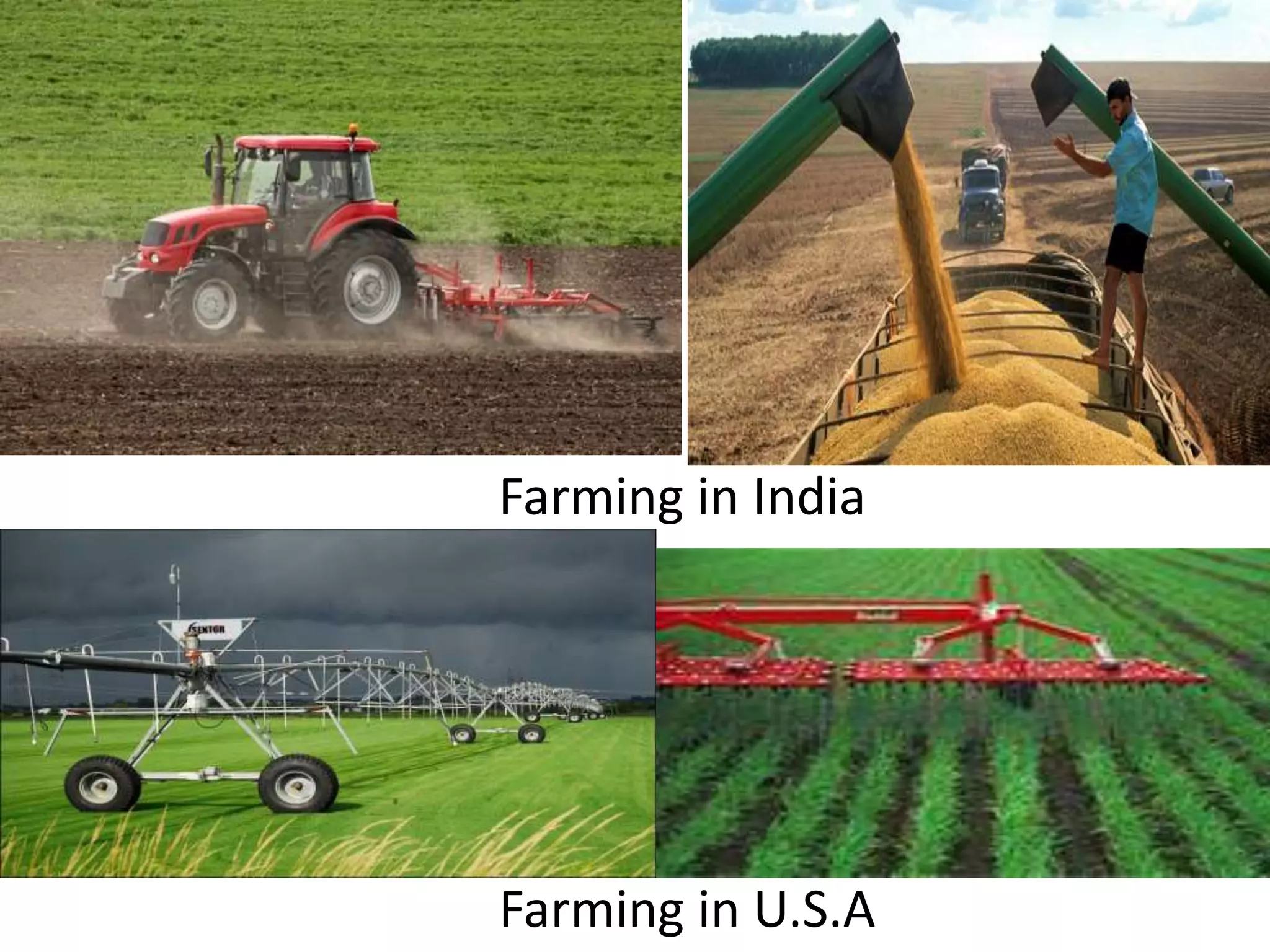 Agriculture geography class 8th | PPTX