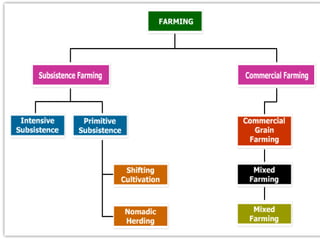 Agriculture geography class 8th | PPTX