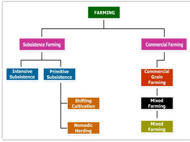 Agriculture geography class 8th | PPTX