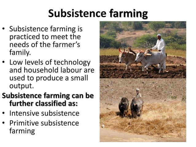 Agriculture geography class 8th | PPTX