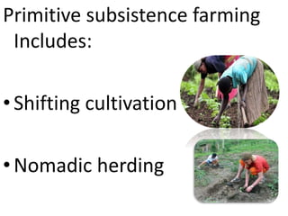 Agriculture geography class 8th | PPTX
