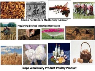 Agriculture geography class 8th | PPTX