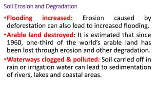 Agriculture and environment | PPTX