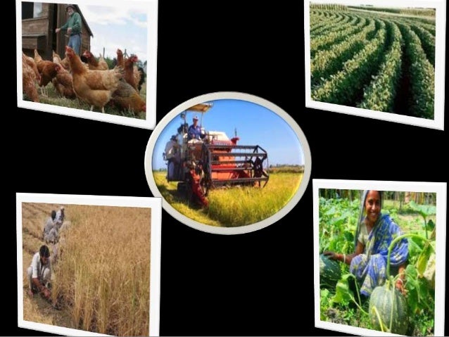 Agriculture and non agriculture sectors of economy