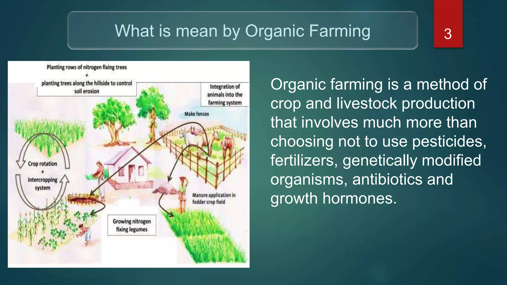 Agriculture and Organic Farming | PPTX