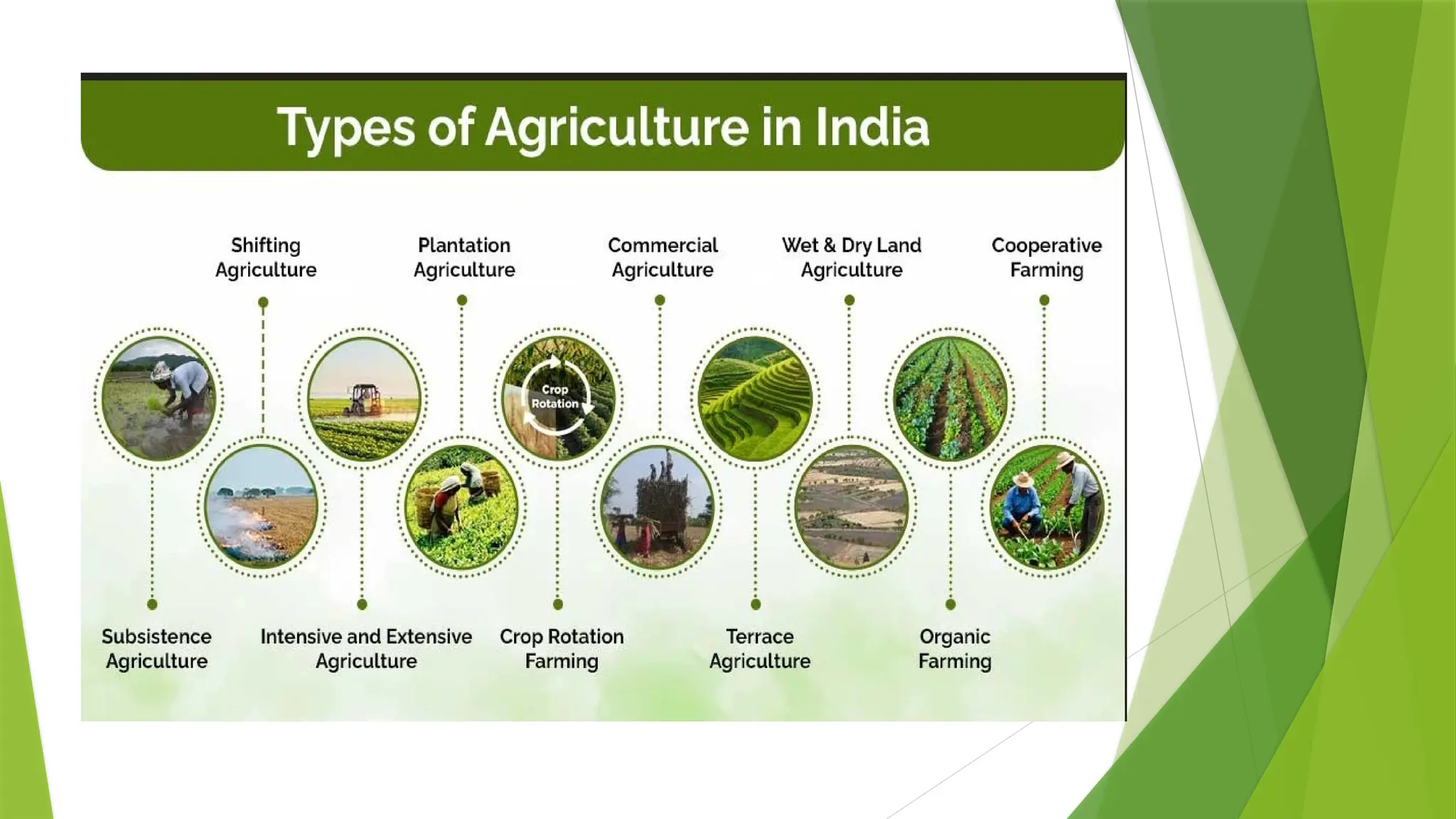 Agriculture and rural Development ppt.pptx