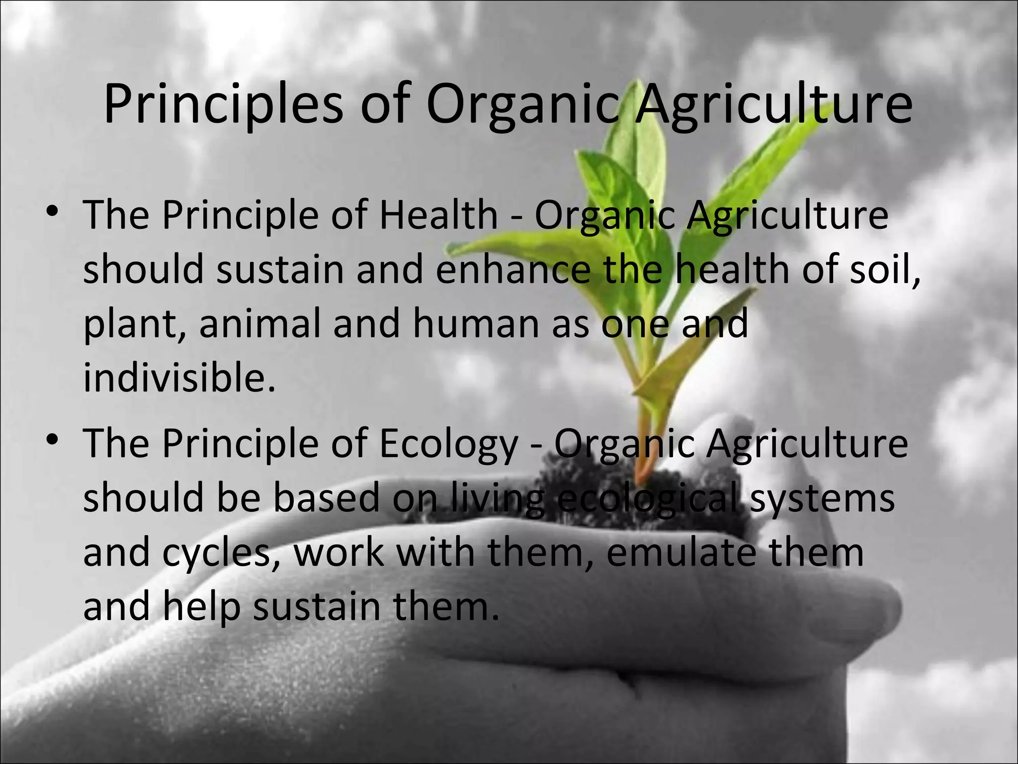 Agriculture and Social Entrepreneurship | PPT