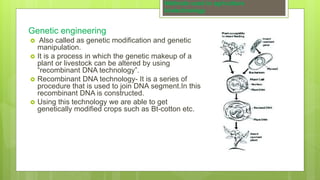 Agriculture biotechnology.pptx