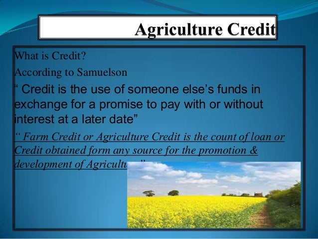 What Is Taccavi Loan | Info Loans