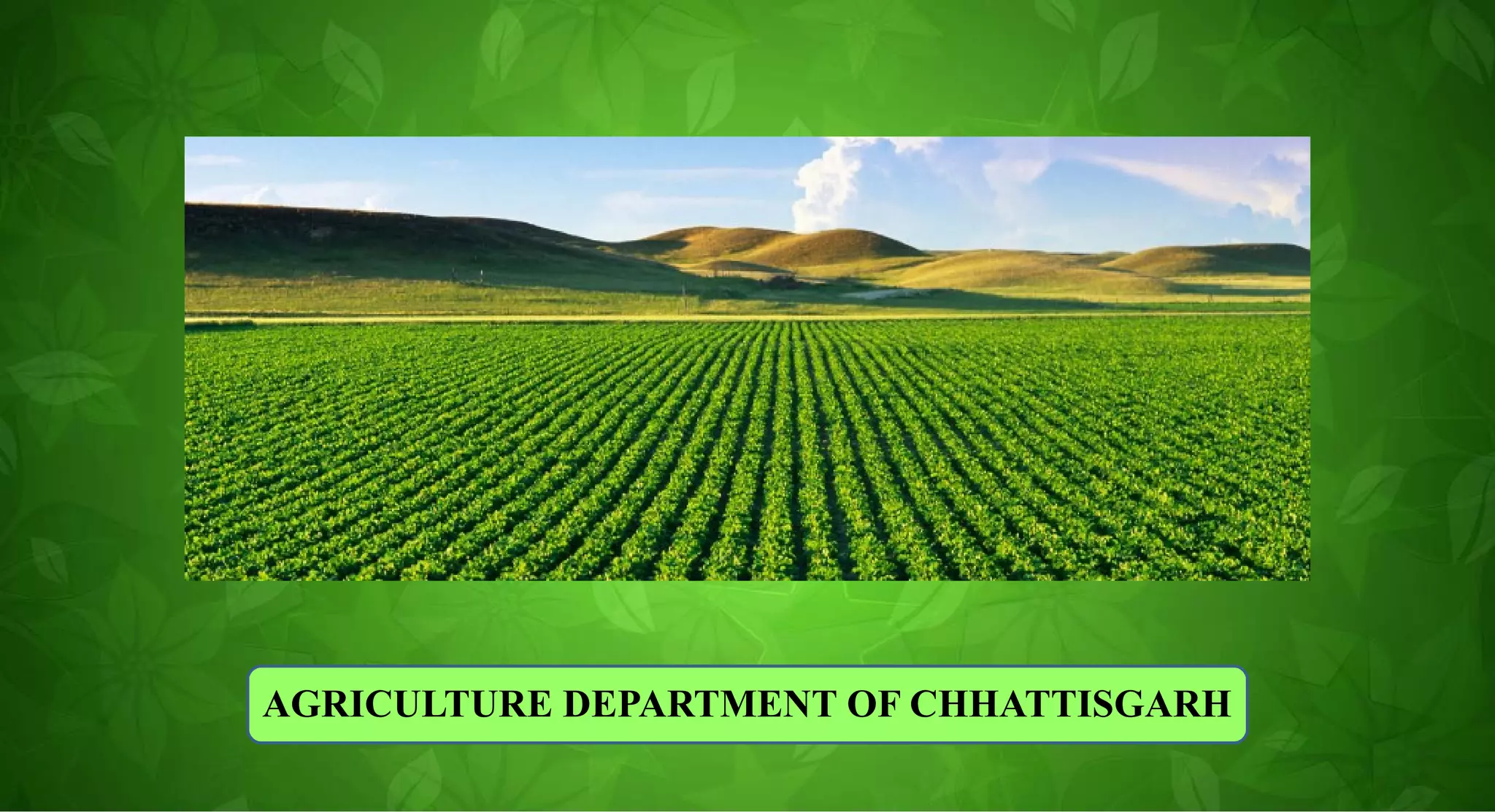 Agriculture department of chhattisgarh | PPT