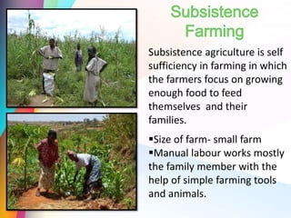 Simple Subsistence Farming