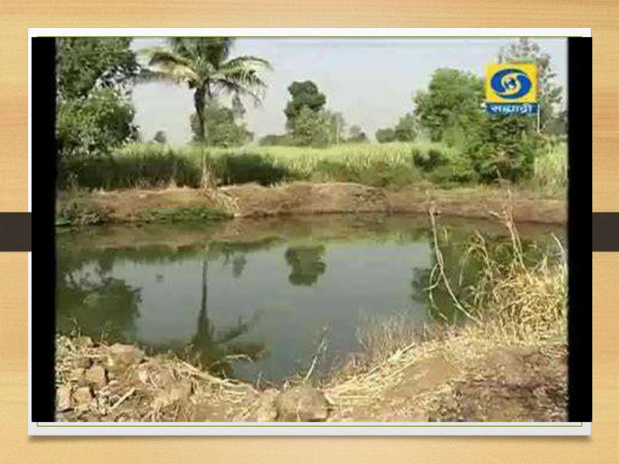 Presentation on Agriculture geography ppt | PPT