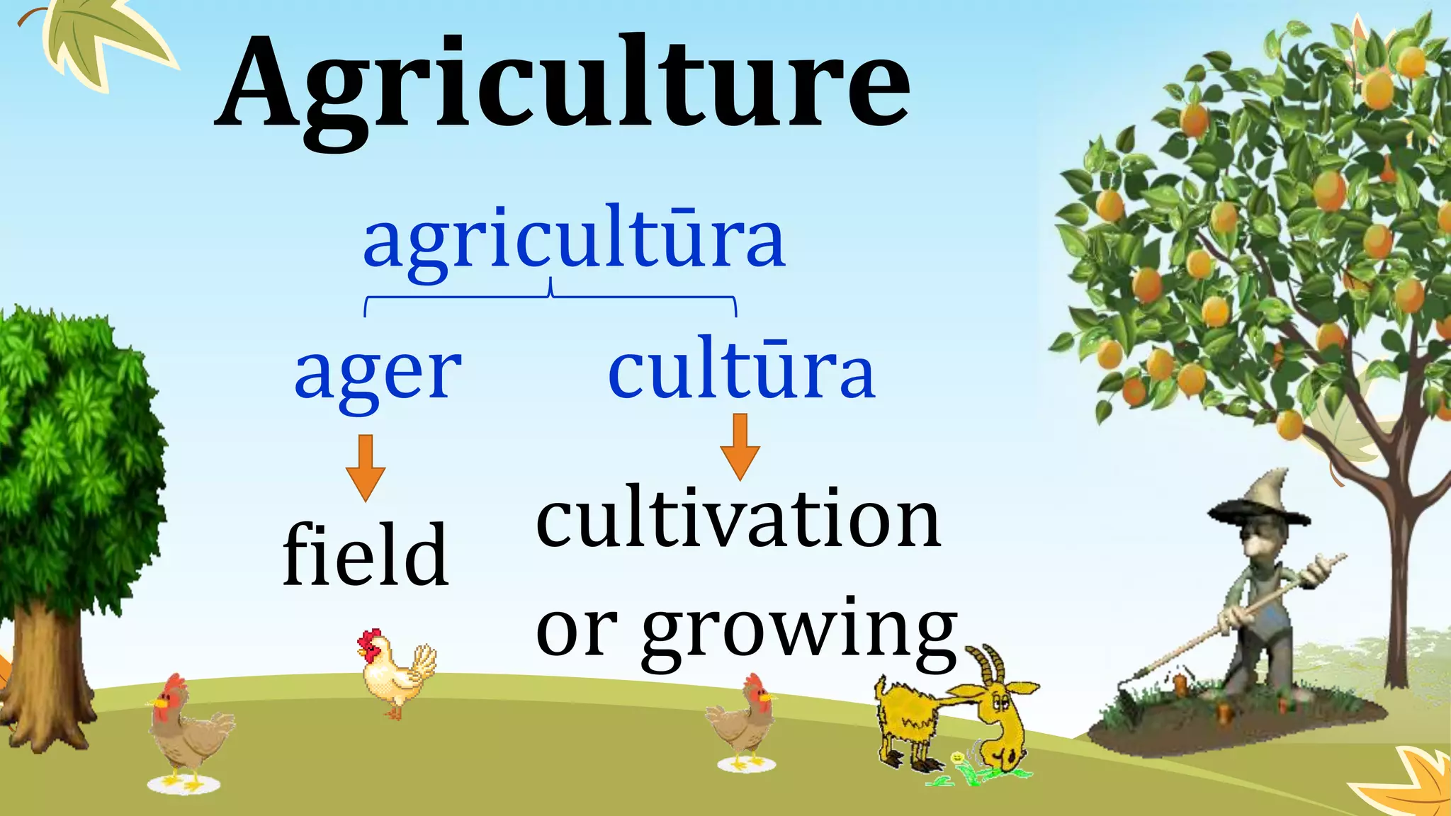 Agriculture gr6.pptx · version 1.pptx