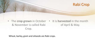 System of Agriculture in Pakistan. | PPTX