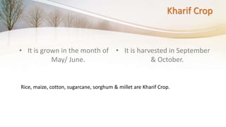System of Agriculture in Pakistan. | PPTX