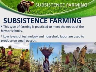 Simple Subsistence Farming