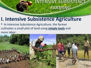 Extensive Subsistence Farming