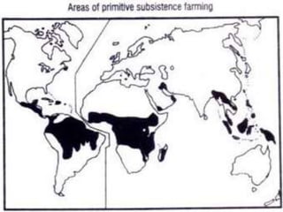 Intensive Subsistence Farming Map