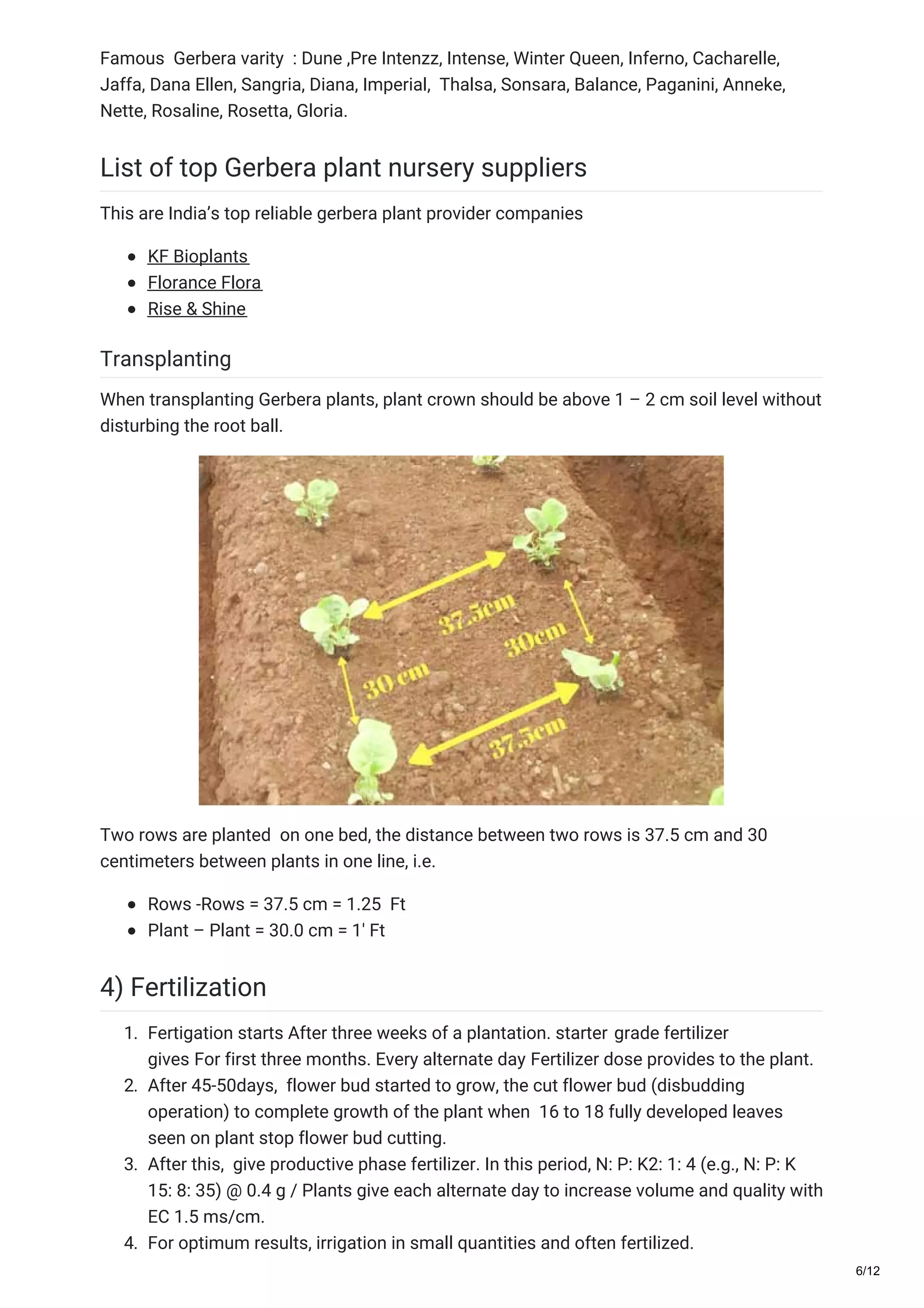 Gerbera cultivation guide | PDF