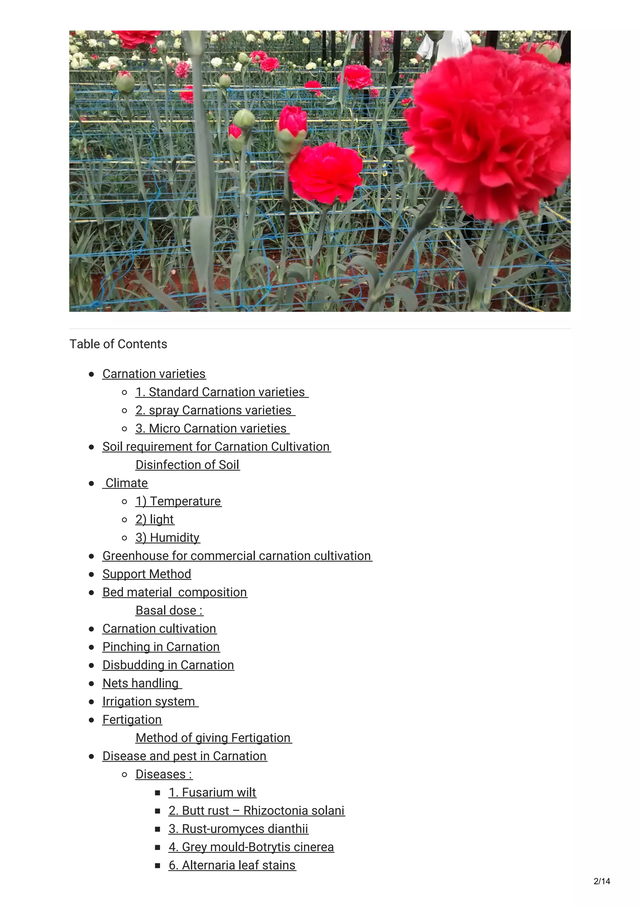 carnation cultivation guide | PDF