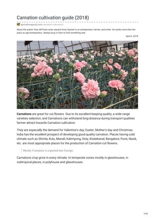 carnation cultivation guide | PDF