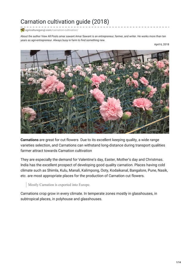 carnation cultivation guide | PDF | Agriculture | Industries