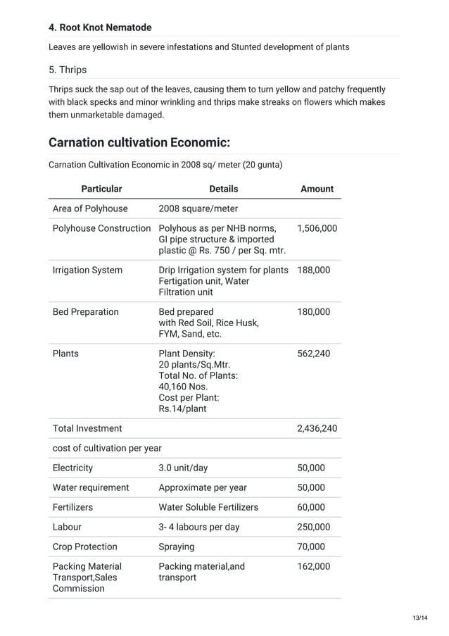 carnation cultivation guide | PDF | Agriculture | Industries
