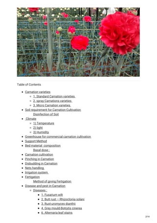 carnation cultivation guide | PDF