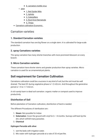 carnation cultivation guide | PDF