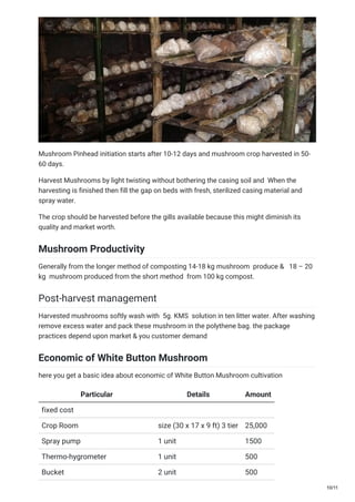 Mushroom cultivation guide 2018 | PDF