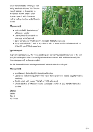 Tomato cultivation guide 2018 | PDF