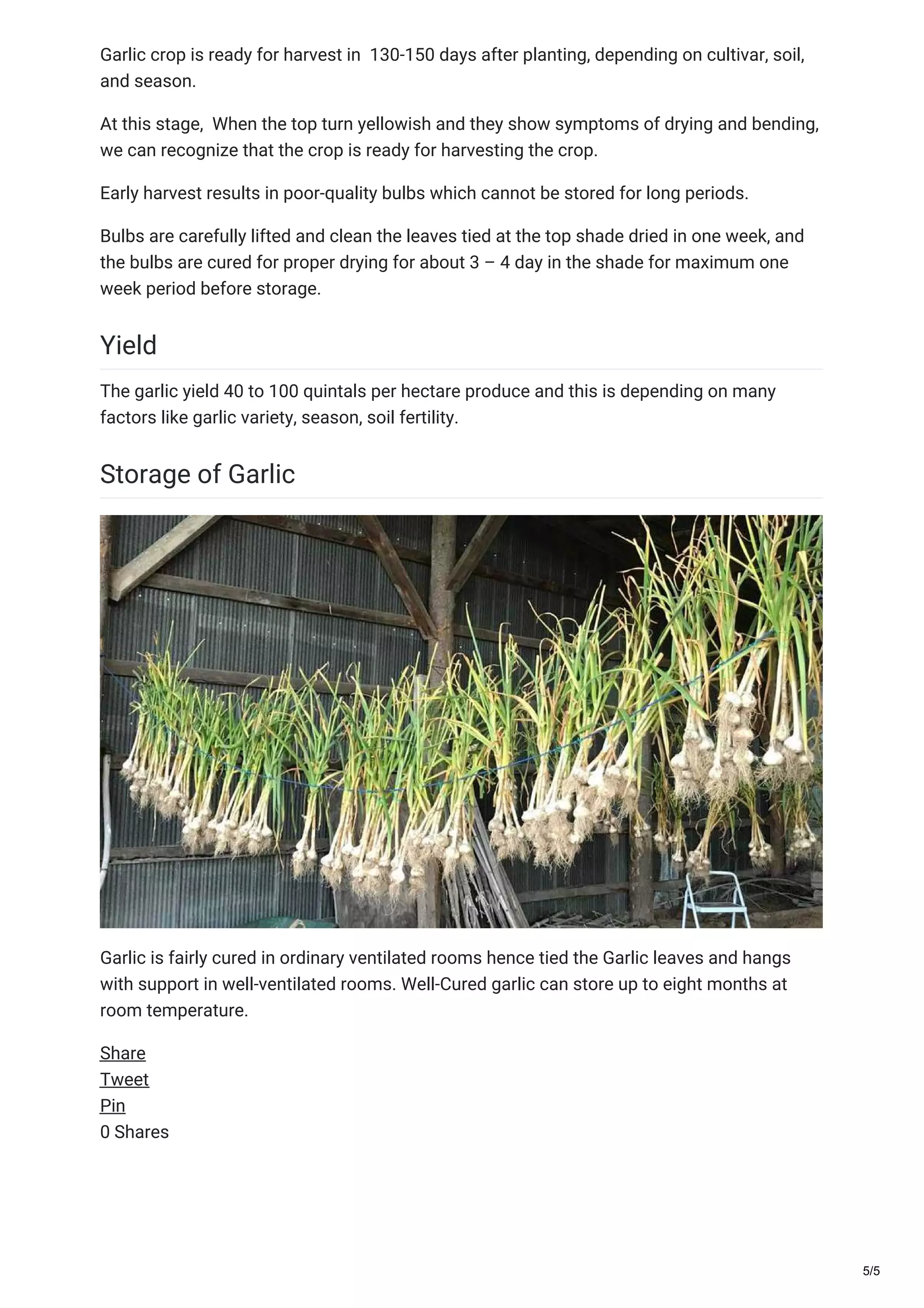 Garlic farming guide 2018 | PDF