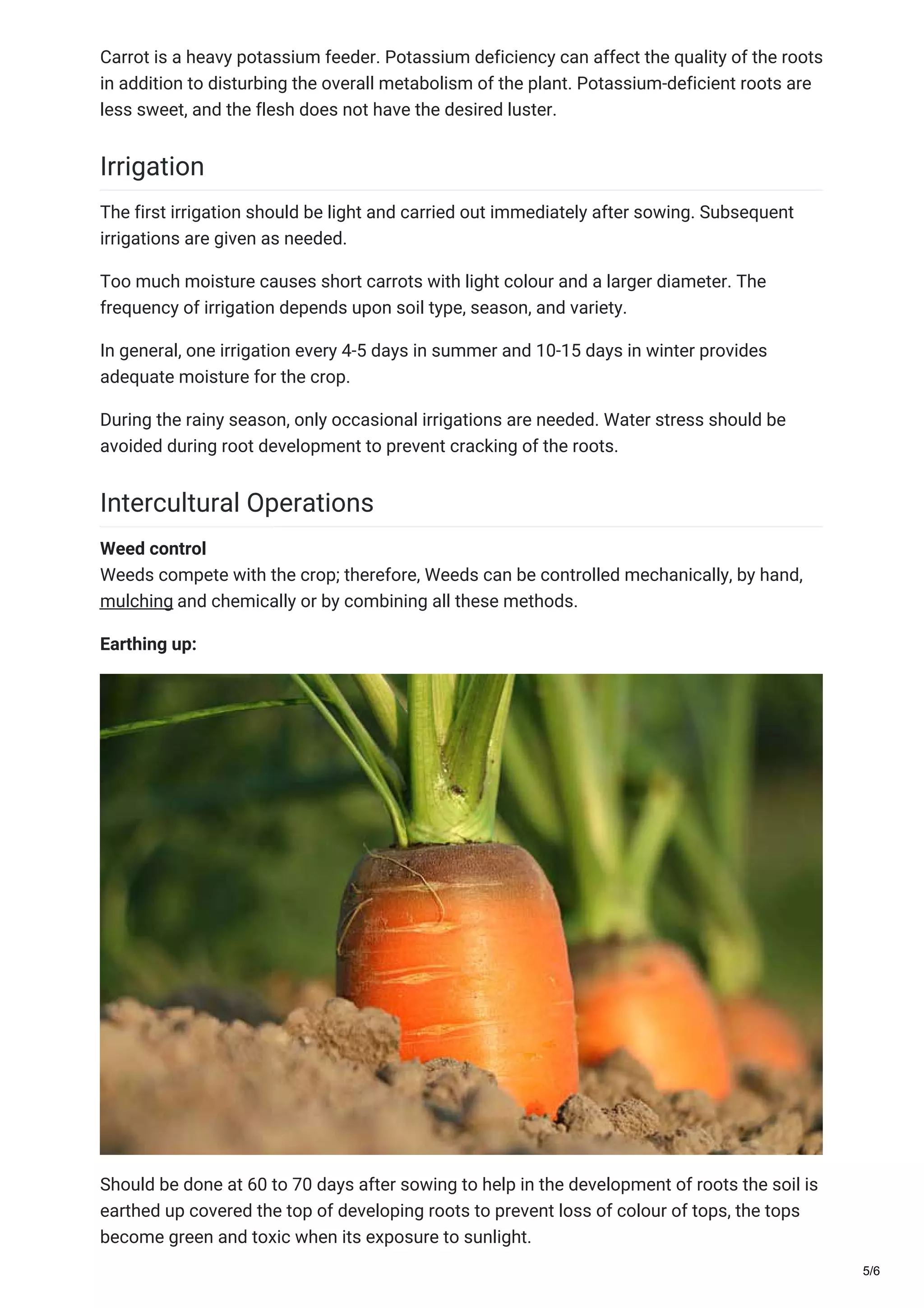 The ultimate guide for carrot farming 2018 | PDF | Agriculture | Industries